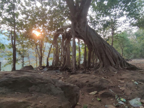 Ushakothi Wildlife Sanctuary, Sambalpur, Odisha - ITP